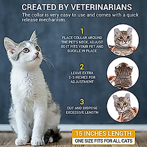 BUDOCI Pet Flea Collar Small Size Flea and Tick Prevention for Cats, 4 Pack Flea and Tick Collar for Cats, 38cm/15 inch, 8 Month Protection…
