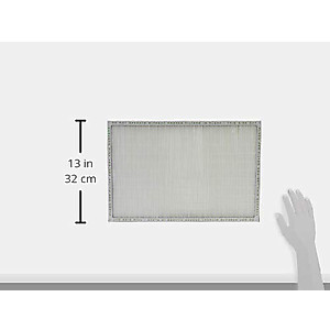 Vornado AQS MD1-0004 Replacement HEPA Filter, 1 Count (Pack of 1), White