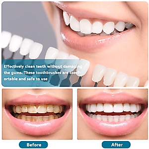 Healifty 4 Pcs Hard Denture Brush Double Sided Toothbrush Multi- Layered Bristles Fake Teeth Cleaning Brush Denture Care (Green)