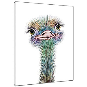 HVEST Ostrich Canvas Wall Art Watercolor Cute Animal Artwork Bird Paintings for Living Room Bedroom Bathroom Decor,Stretched and Framed Ready to Hang,12x16 inches