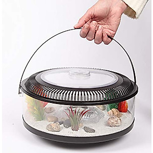 Repitat Reptile Carrier with Cover and Handle