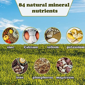 MUYG Himalayan Salt Lick Natural Minerals Block on Rope for Horses,Cattles,Deer,Goat and Other Livestock Long Lasting Original Pink Salt Lick (2.4-3.3 lbs)