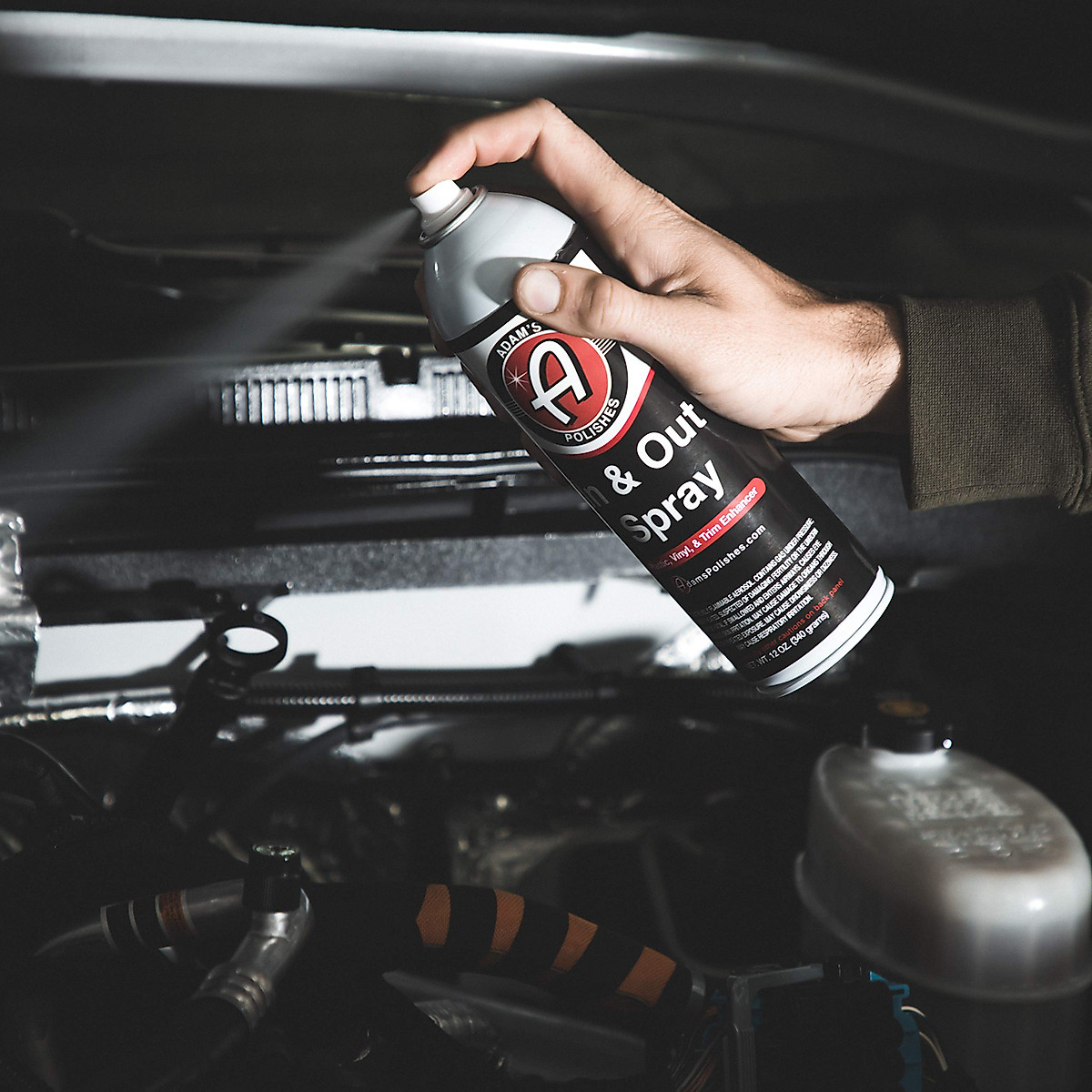 Adam's in and Out Spray, Car Wash Detail Spray, Non-foaming, Low Gloss Coating, Deep Shine for Plastic and Trim, Good for Hard to Reach Areas, Watermelon Scent (1 Pack)