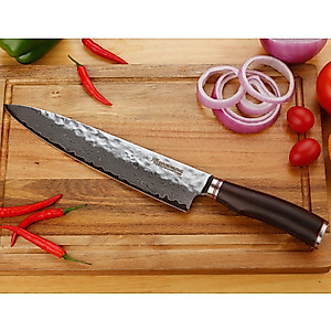 YOUSUNLONG Gyuto 10 inch Pro Chef's Knives Japanese Hammered Damascus Natural Leadwood Handle with Leather Sheath