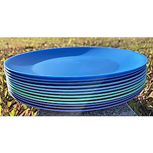 WEXINHAO Plastic Plates Reusable - 10 inch Unbreakable Dinner Plates set of 12 - BPA Free Dishwasher Safe Microwave Plates - Everyday Large Plates for Kids Kitchen Salad Party Outdoor
