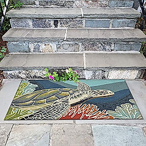 Liora Manne Ravella Indoor Outdoor Rug - Nautical Rug, Sea Life & Ocean Theme Decor, Comfortable & Durable, UV Stabilized, Stain Resistant Rug, Akumal, 2' x 3'