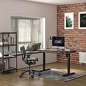 kowo Electric Height Adjustable Standing Desk with Drawer, 48" Home Office Wooden Computer Desk Ergonomic Memory Control Workstation Sit Stand Desk, Grey Oak/Black