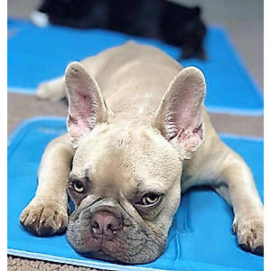 The Green Pet Shop Dog Cooling Mat, Large - Pressure Activated Pet Cooling Mat For Dogs, Sized For Large Dogs (46 - 80 Lb.) - Non-Toxic Gel, No Water or Electricity Needed for This Dog Cooling Pad