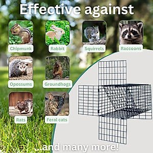 "OWDE" 5" One-Way Door Excluder –Professional Black Mesh Evictor Trap by Wildlife Control Supplies –Safe and Effective Pest Control for Commercial and Residential Use –Great for Barns, Garages & Sheds