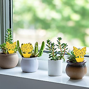 40 Pack Fungus Gnat Traps for House Indoor Yellow Sticky Traps for Plants, Dual-Sided Fungus Gnat Sticky Traps Fruit Fly Traps for Indoors