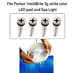 AR-PRO (79104800 Pool Light Gasket Screws with Washers - Stainless Steel Screws Compatible with Pentair IntelliBrite, Amerlite, and SAM Amerlite Pool and Spa Lights