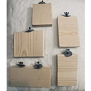 10 Piece Kiln Dried Pine Wood Ledges, Platfrom, Steps for Chinchillas, Rats, Birds and Caged Critters. Chinchilla Cage Accessories.