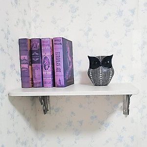 HOWFIELD Resin Owl Statue Home Decor - Black Owl Sculpture, Bird Statue, Small Accents for Bedroom, Office, Garden, Bookshelf, TV Stand Figurines(Black)