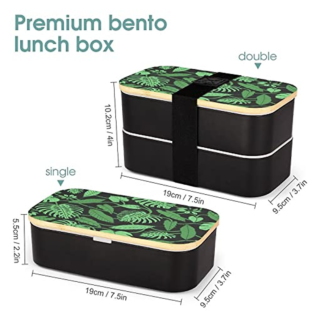 Tropical Pattern with Monstera Leaves Bento Lunch Box Leak-Proof Bento Box Food Containers with 2 Compartments for Offce Work Picnic Black-Style