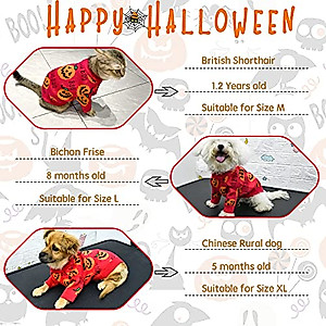 Vehomy Dog Cat Halloween Sweater Dog Halloween Costume Pet Halloween Turtleneck Sweater Clothes Pet Pumpkin Pullover Knitwear Warm Halloween Cat Pumpkin Sweater M