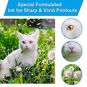 LCL Compatible Ink Bottle Replacement for Canon GI290 GI-290 G1200 G2200 G3200 G4200 G4210 (4-Pack Black Cyan Magenta Yellow)