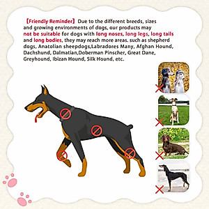 Inflatable Dog Cone Collar,Soft Dog Neck Donut Recovery Collar for Dogs and Cats After Surgery, Prevent Pets from Biting & Scratching, Elizabethan Collar for Small Medium Dog (Pink,M)