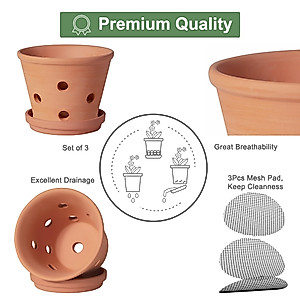 6 inch Terracotta Orchid Pots with Holes and Saucers, 3 Pack Clay Orchid Planter Pots for Repotting, Small Terra Cotta Orchid Pot, Plant Flower Pots for Orchid Indoor Outdoor Promotes Air Circulation