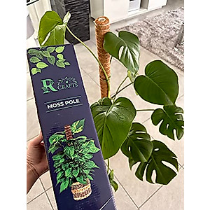 Rcraft 63 Inch Tall Moss Pole for Plants Monstera 4 Pack with Hemp Rope, Bendable Stakes for Indoor Plants Support/Totem Pole, Climbing Plants Sticks for Growth- Perfect for Medium/Large House Plants