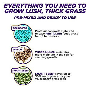 Pennington One Step Complete Dense Shade 5 lb, White