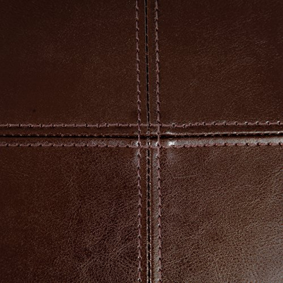 Christopher Knight Home Emilia Chocolate Brown Leather Dining Chairs (Set of 2)