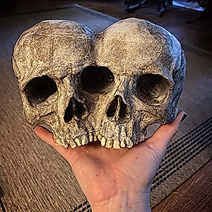 BEFOKA Resin Skull Planter, Gothic Retro Skull Head Flower Succulents Pot, Outdoor Indoor Garden Planter, Gothic Statue Sculpture Skeleton Decor (A)