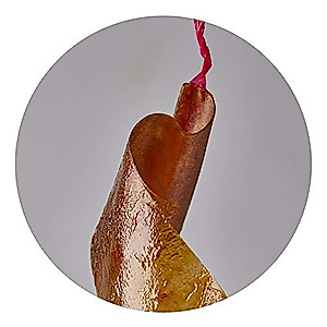 PIC Fly Ribbon, 10 Count Box, 12 Pack - 120 Ribbons Total