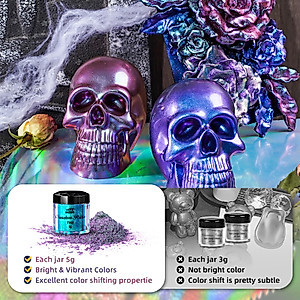 LET'S RESIN Chameleon Mica Powder, 10 * 5g Color Shift Mica Powder for Epoxy Resin/Tumbler, Saturated Color Shifting Chrome Pigment Powder for Painting,Slime,Nails