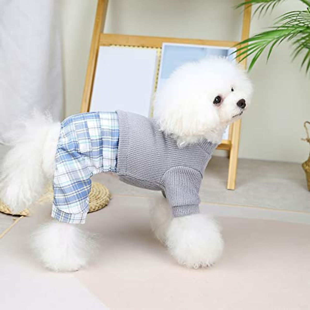 ZTGD Cute Dog Clothes for Small Dogs（Couple Outfit）,Kawaii Dog Couple Clothes,Puppy Clothes for Small Dogs Girl and Boy,British Style Pet Clothes for Autumn 2 2XL