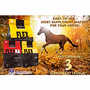 Majesty's Flex Wafers - Superior Horse / Equine Joint Support Supplement - Glucosamine, MSM, Chondroitin, Yucca, Vitamin C - 60 Count (2 Month Supply)