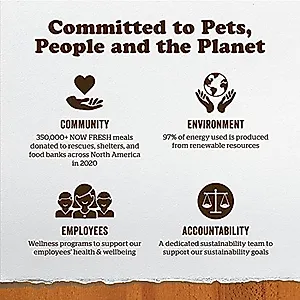 Now Fresh Wet Dog Food, 12.5 oz (12 Ct) - Grain Free Wet Dog Food - Pork Stew with Bone Broth - Healthy Diet for Small, Medium and Large Breed Dogs