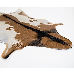 Genuine Goatskin Rug Goat Skin Goat Hide Goat Skin Rug Exotic 2 x 3 ft.