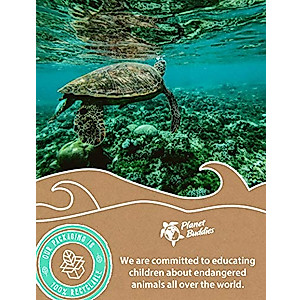 Planet Buddies Kids Headphones, Wired Headphones with Microphone for Kids, Volume Safe Foldable On Ear Earphones for School, Travel, Phone, Kindle - Green Turtle