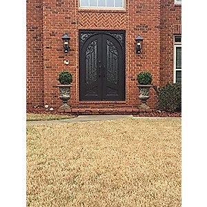 24''T 18''D Artificial Trees for Outdoors Set of 2 Potted Bushes Home Decor Artificial Topiariy Trees for Front Porch