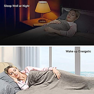 Giantex Weighted Blanket with Removable Cover, 15lbs |48''x72''| Twin Size, 100% Breathable Cotton Fabric Inner&200GSM Minky Duvet Cover, Heavy Blankets for Kids Adults