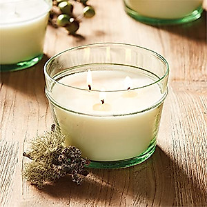 Napa Candles Collection-Floriclture Soy Wax Candle Forest Rain