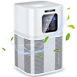 Air Purifiers for Bedroom Home Large Room 610 sq.ft (Filter Inside), Upgrade AMEIFU H13 Hepa Purifier with Aromatherapy Function for Pets Hair, Smoke, Dust and Smell (California Available)