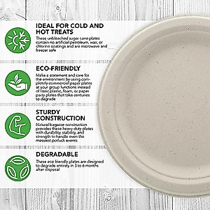 Leste Disposable Bagasse Paper Plates, Heavy-Duty Party Plates, 100% Compostable, Made of Natural Sugarcane Fibers - Biodegradable Paper Plates (Natural - Round, 9 Inch - 50 Count)