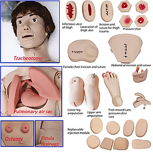 PreAsion Training Manikin Model Trauma Model Anatomical Human Model Demonstration Manikin Patient Care for Nursing Female-Male Wound Training Mannequin Patient Care Education Teaching 63’’Life-Size