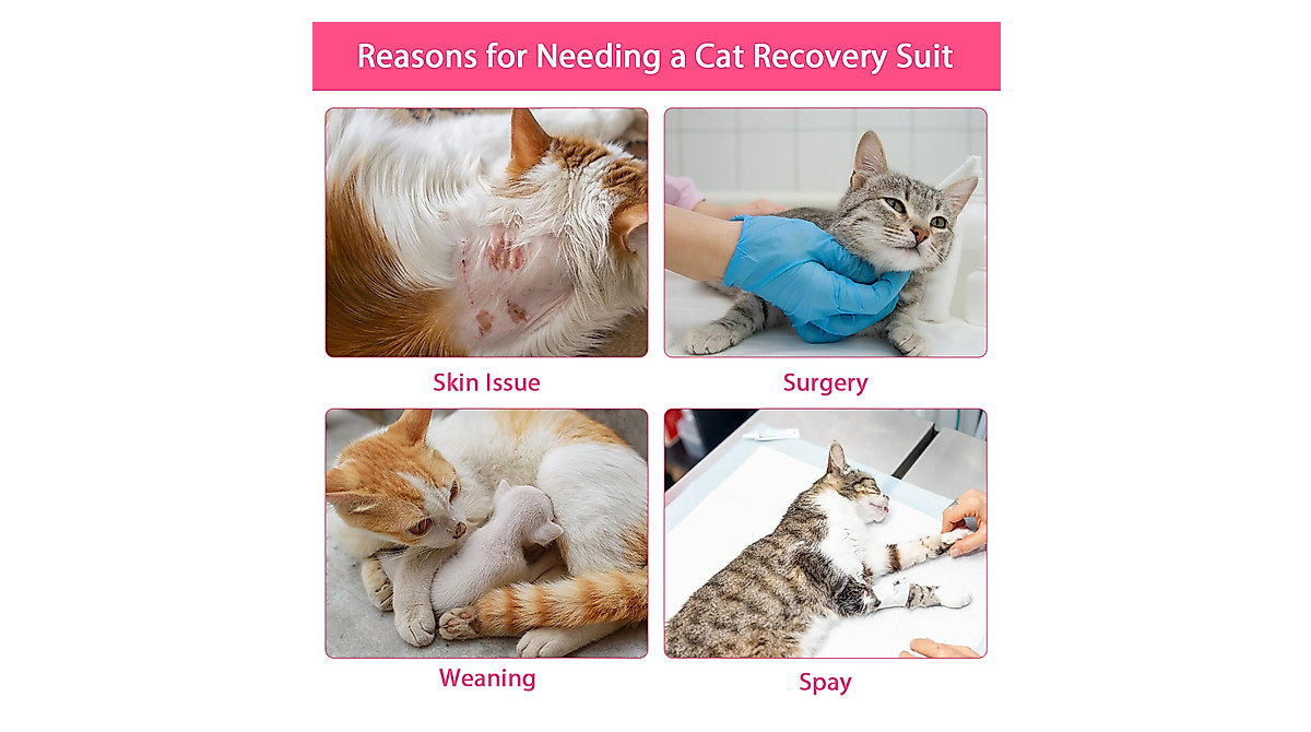 Cat Recovery Suit - Comfortable & Breathable Post-Surgery