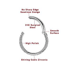 16G Conch Piercing Jewelry CZ Cartilage Earrings Hoop 316L Surgical Steel Nose Hoop 10mm Helix Piercing Jewelry Rook Ring16 Gauge Segment Nose Hoop Ring Segment Helix Rings Earrings Lip Ring Silver