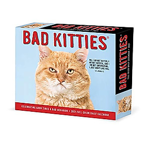 Bad Kitties 2021 Box Calendar