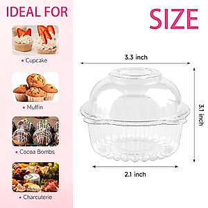 Zezzxu 100 Pack Individual Cupcake Containers, Clear Plastic Cupcake Holders with Dome Lids, Single Cupcake Carriers for Cupcakes, Hot Cocoa Bombs, Muffins, Pastries