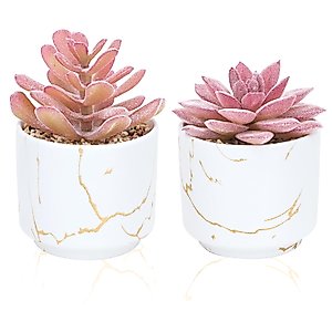 CEWOR 2pcs Succulents Plants Artificial Pink Office Decor for Women, Fake Succulents in Ceramic Pots, Fake Plants for Bathroom Desk Home Decoration Office Supplies