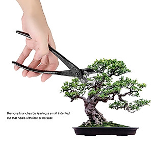 GLOGLOW Bonsai Branch Cutter, Branch Cutter, Round Branch Cutter for Garden Yard Indoor Backyards
