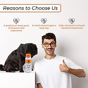 Healthy Paw Life - Lime Sulfur Dip - Pet Care for Itchy and Dry Skin - Xtra Strength Formula - Safe Solution for Dog, Cat, Puppy, Kitten, Horse (16 oz)