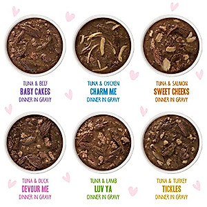 Weruva Best Feline Friend (BFF) Pouch Variety Pack Cat Food, Pouch 3oz Variety #1 (12 pouches)