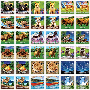 MasterPieces Kids Games - Jr Ranger Matching Game - Game for Kids and Family - Laugh and Learn