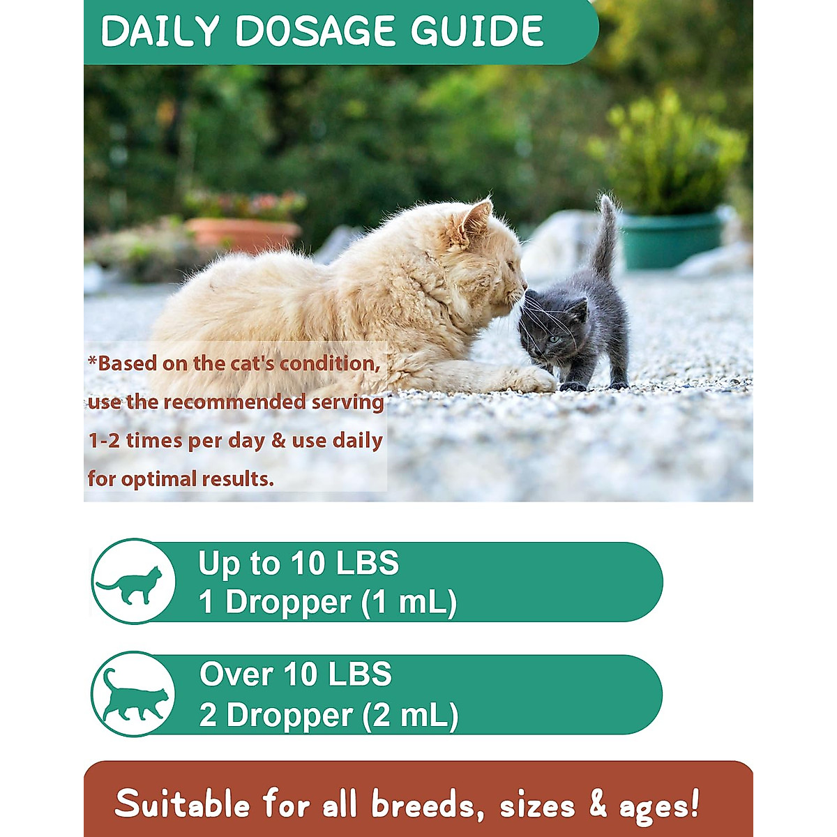 Cat Hairball Control | Hairball Cat Treats for Skin & Coat, Digestion, Nutrient Absorption | Fur Ball Remedy for Cats with Natural Ingredients & Vitamins | Cat Hairball Treatment | Cat Grass Flavor