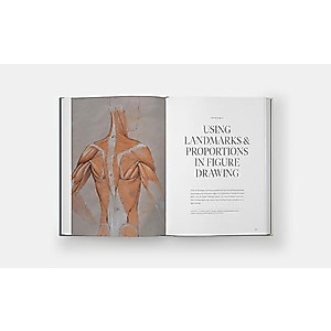 Dynamic Human Anatomy: An Artist's Guide to Structure, Gesture, and the Figure in Motion
